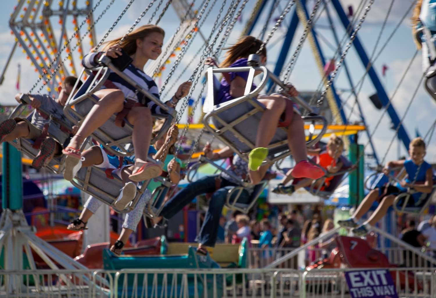 Your Illinois State Fair Guide - Jackie Haas